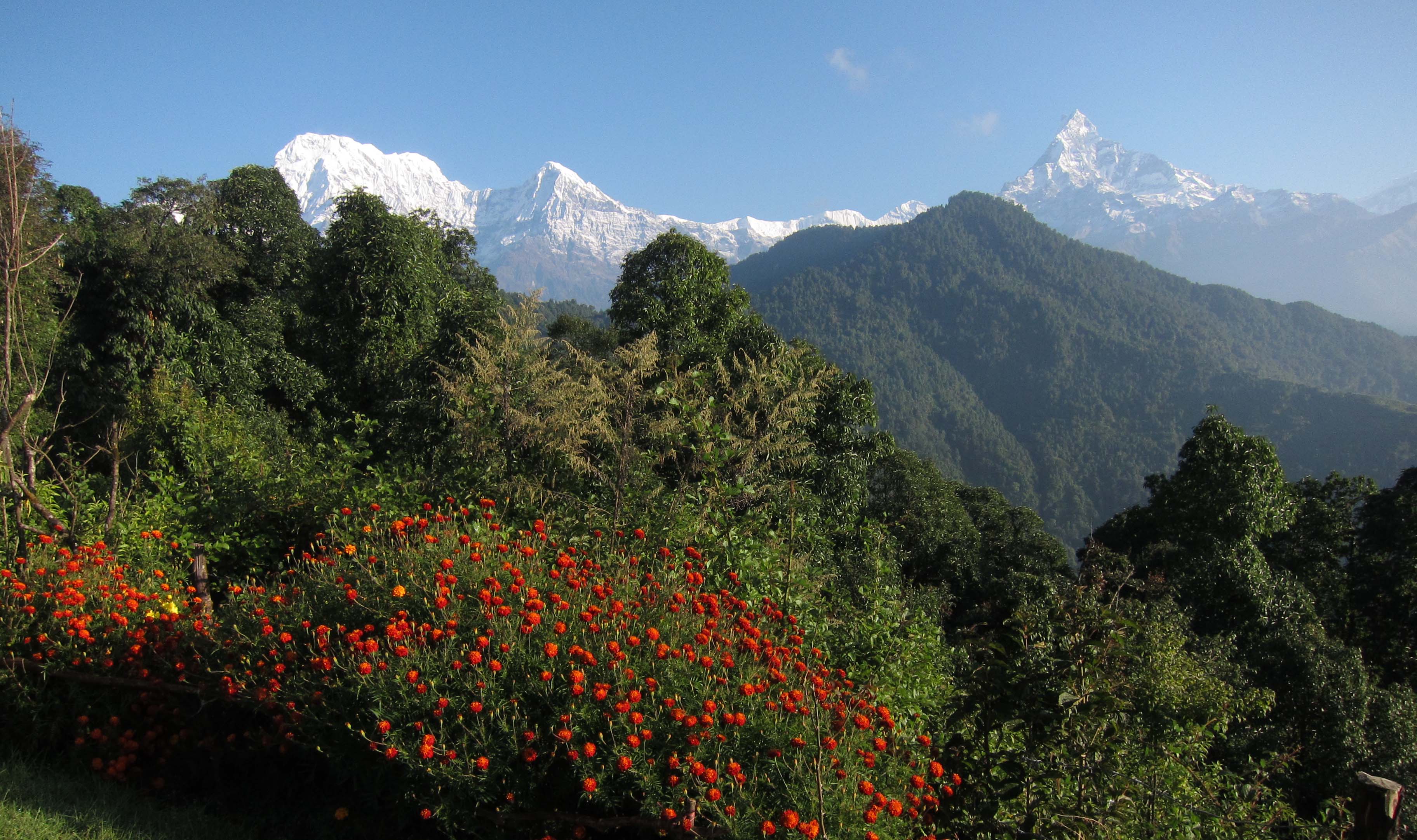 Perfect Winter Vacation in Nepal during the Winter Season. | Visit ...